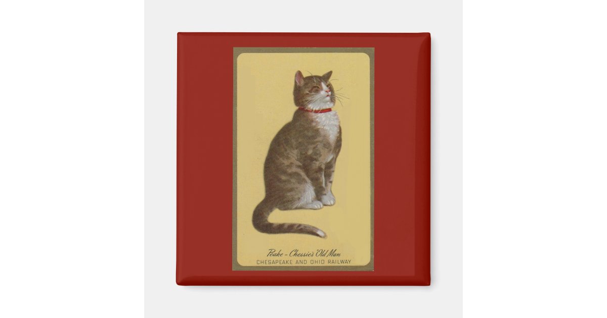 Peake, Chessie’s Old Man tomcat tabby cat Magnet | Zazzle