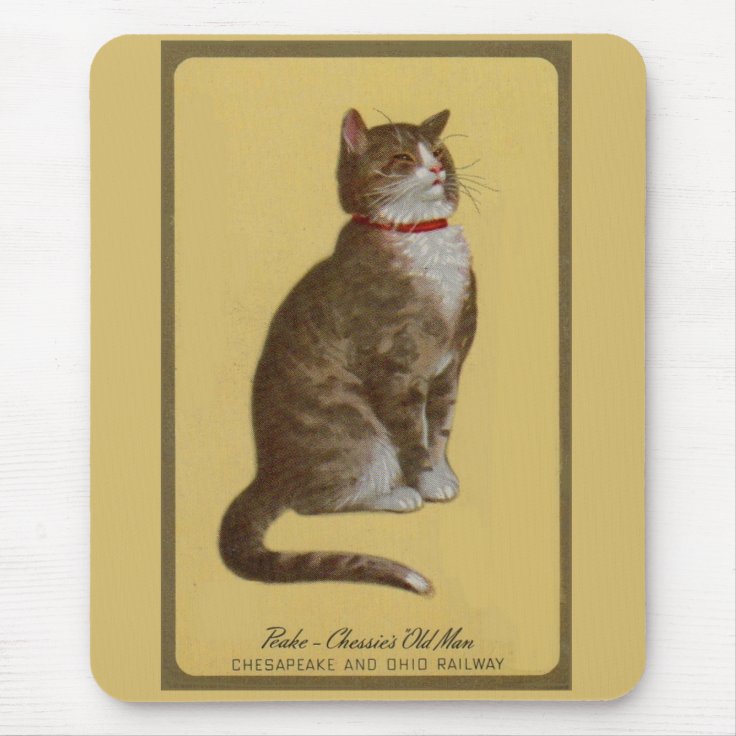 Peake, Chessie’s Old Man tomcat tabby cat Mouse Pad | Zazzle