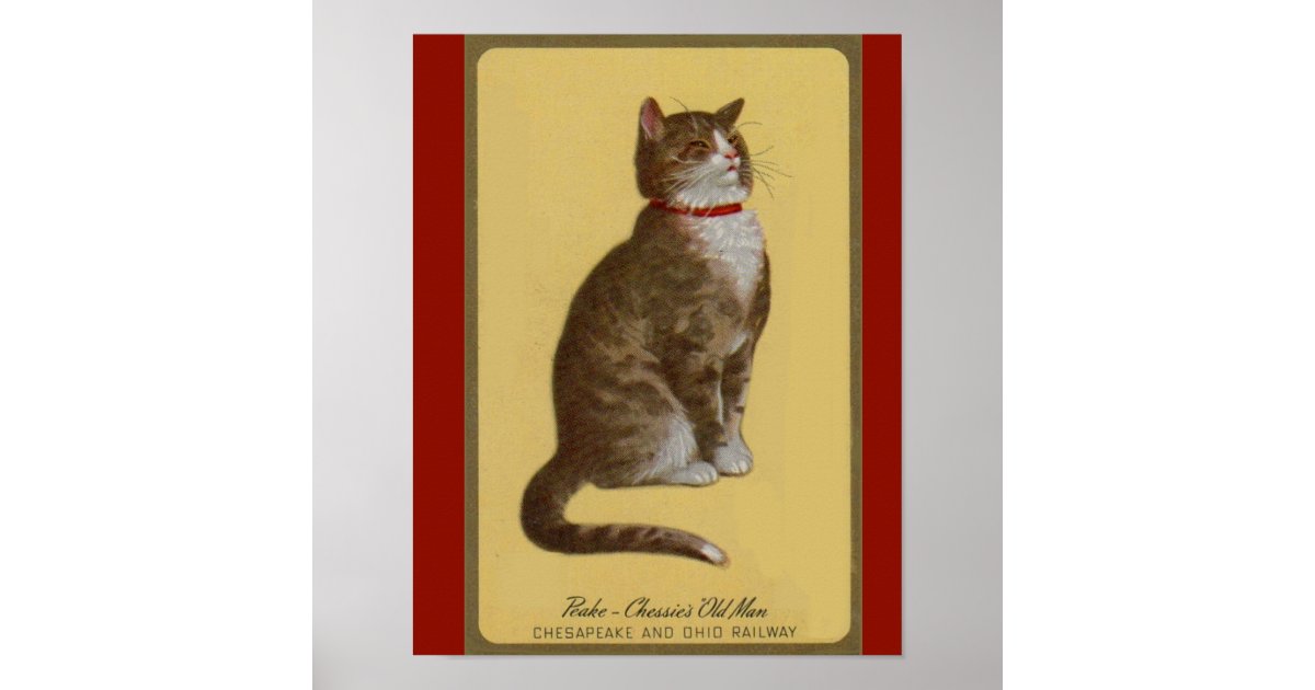Peake, Chessie’s Old Man tomcat tabby cat Poster | Zazzle