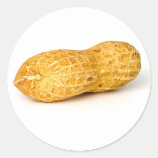 Peanut Classic Round Sticker | Zazzle