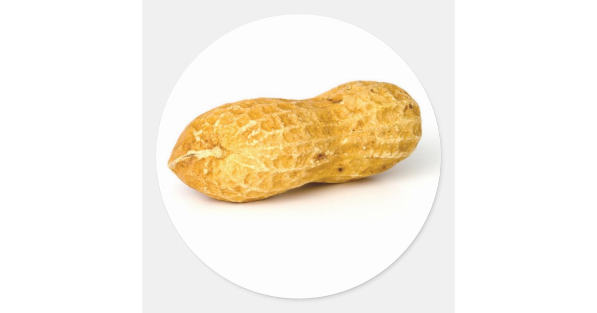Peanut Classic Round Sticker | Zazzle