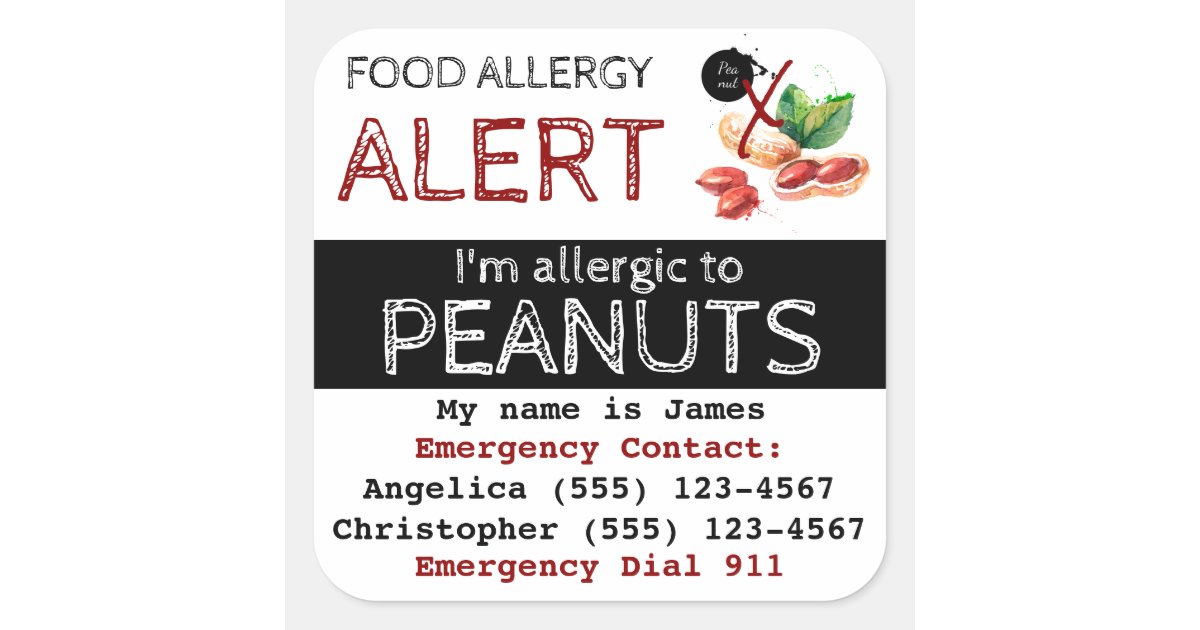 Peanut Food Allergy Sticker | Zazzle