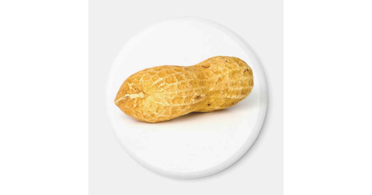 Peanut Magnet | Zazzle