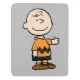 Peanuts | Charlie Brown Door Sign | Zazzle