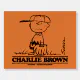 Peanuts | Charlie Brown Playing Ball Foam Board | Zazzle