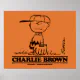 Peanuts | Charlie Brown Playing Ball Poster | Zazzle