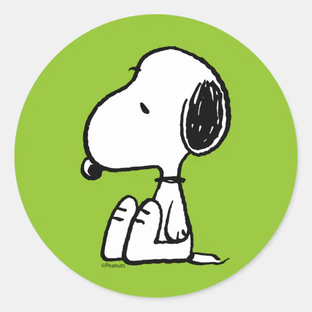 Peanuts | Snoopy Looking Down Classic Round Sticker | Zazzle
