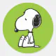 Peanuts | Snoopy Looking Down Classic Round Sticker | Zazzle