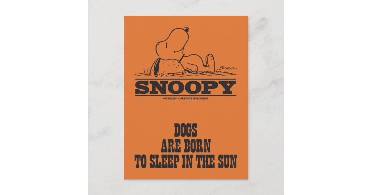 Peanuts | Snoopy Sleeping in the Sun Postcard | Zazzle