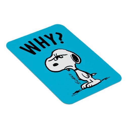 Peanuts | Snoopy Wonders Why? Magnet | Zazzle