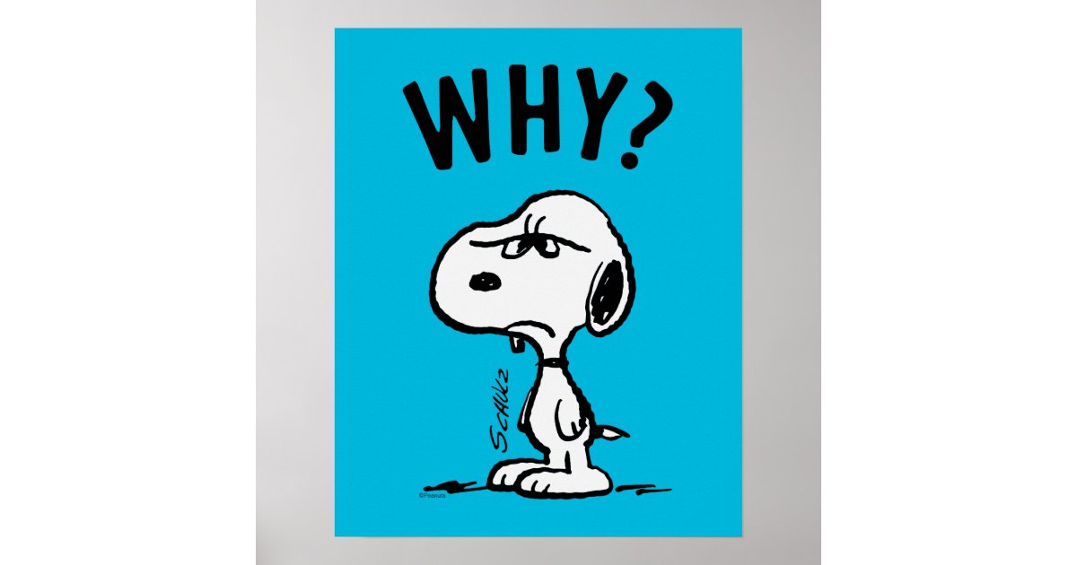 Peanuts | Snoopy Wonders Why? Poster | Zazzle