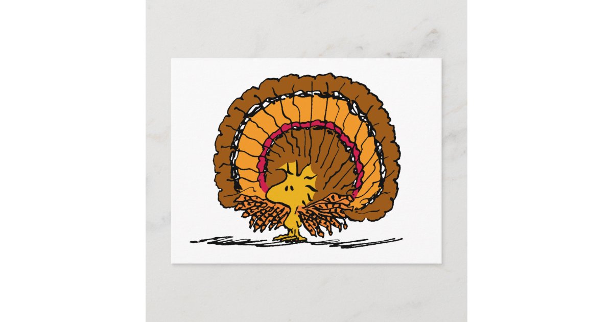 Peanuts | Woodstock Turkey Postcard | Zazzle