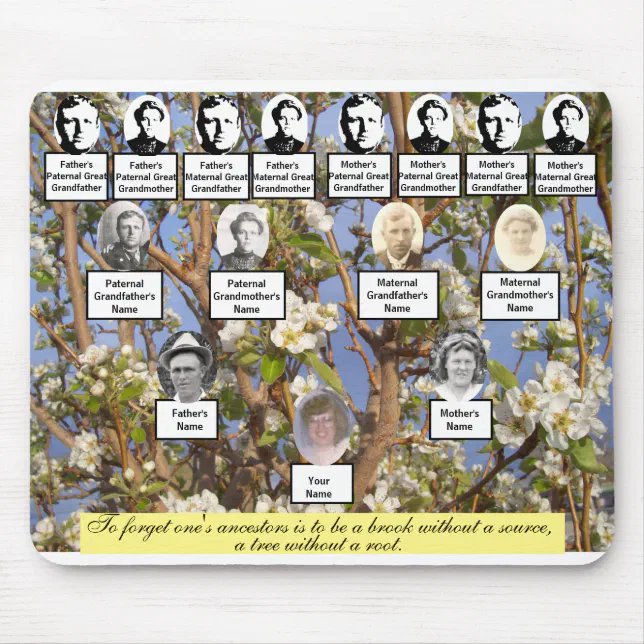 Pear Blossom Family Tree Quote and Photos Mouse Pad | Zazzle
