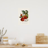 Pear Poster | Zazzle