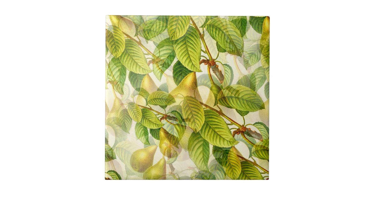 Pear Tree Branches & Pears Pattern Ceramic Tile | Zazzle