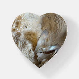 Pearl in Oyster and Natural Sea Coral Paperweight | Zazzle
