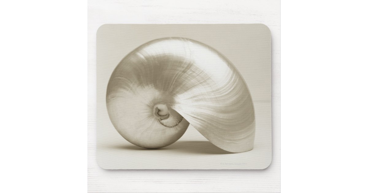 Pearlised nautilus sea shell mouse pad | Zazzle