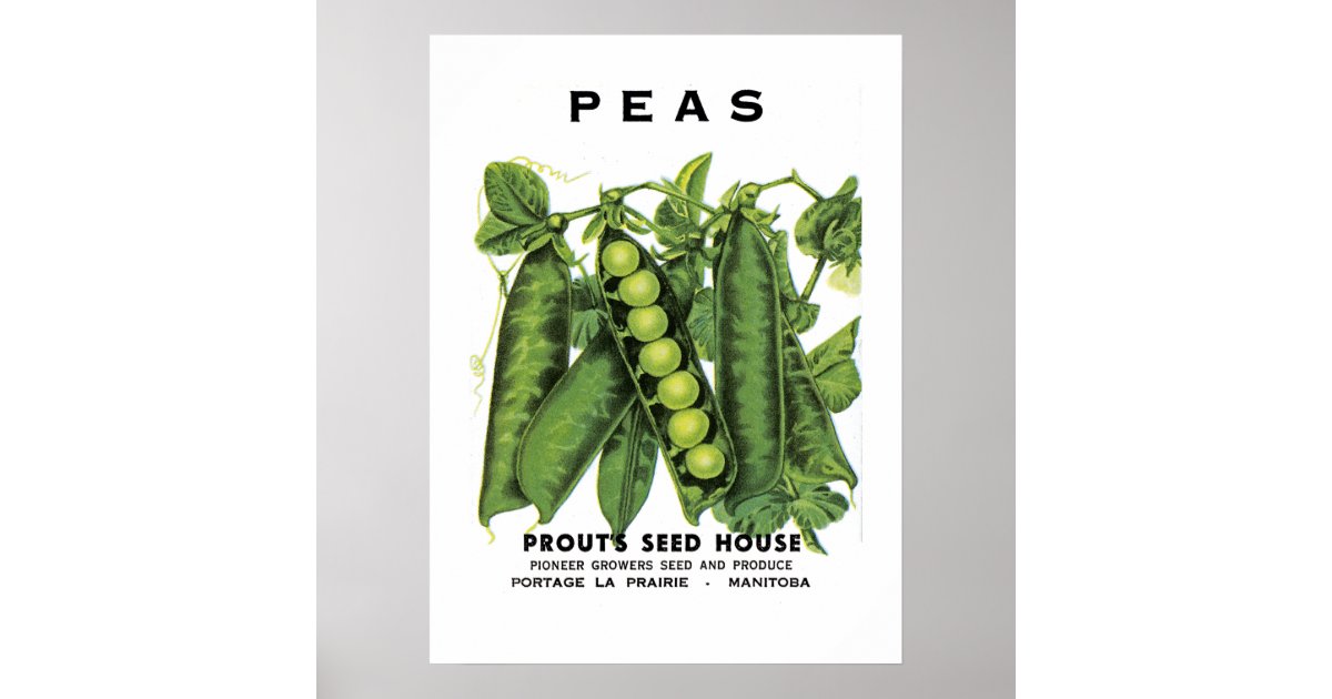 Peas Seed Packet Label Poster | Zazzle