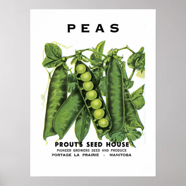 Peas Seed Packet Label Poster | Zazzle
