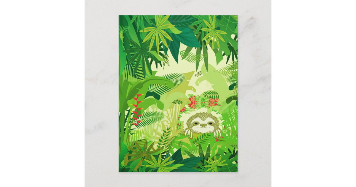 Peek a Boo Jungle Sloth Postcard | Zazzle