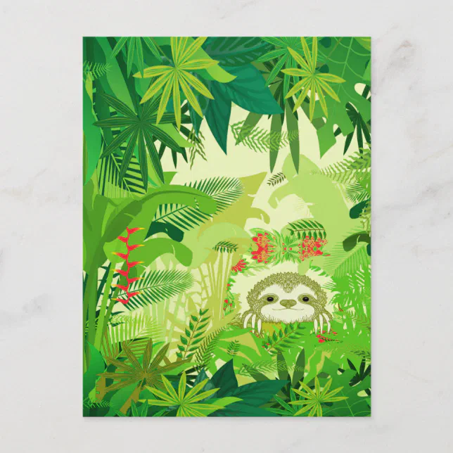 Peek a Boo Jungle Sloth Postcard | Zazzle