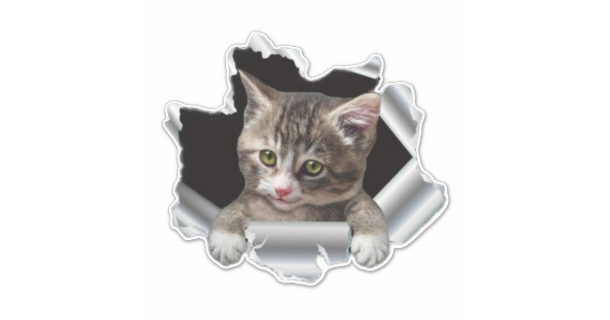 Peeking Cat Vinyl Decal |Car decal, Bumper sticker | Zazzle