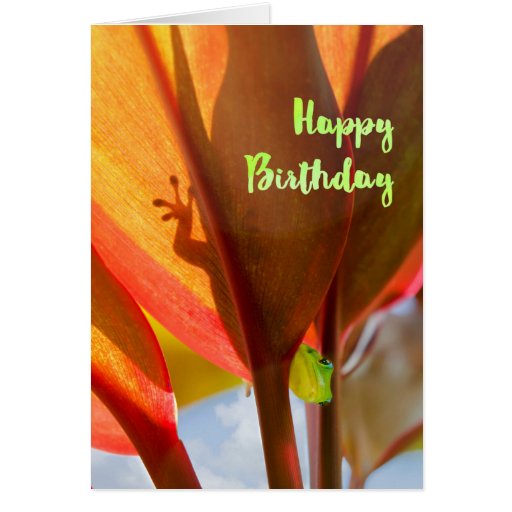 Peeking Gecko Happy Birthday Card | Zazzle