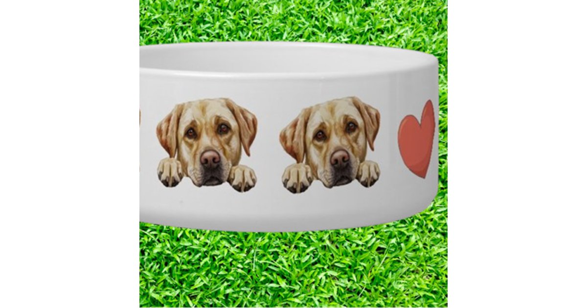 Peeking Golden Labrador Customize theme Bowl | Zazzle