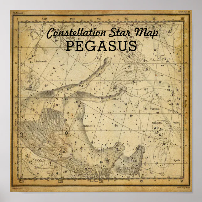 Pegasus Horse Constellation Star Map Andromeda Poster | Zazzle