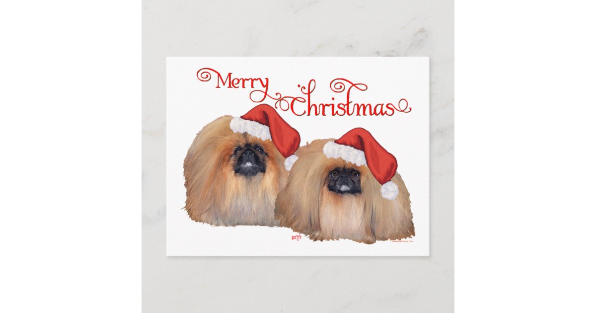 Pekingese Merry Christmas Holiday Postcard | Zazzle
