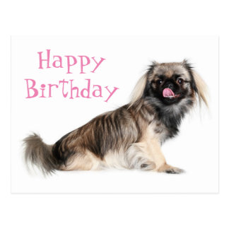 Pekingese Birthday Cards | Zazzle