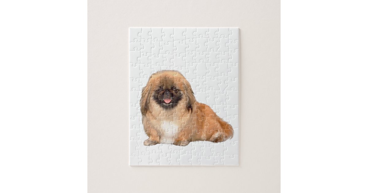 Pekingese (red , black mask #1) jigsaw puzzle | Zazzle