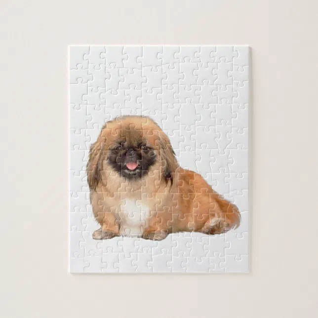 Pekingese (red , black mask #1) jigsaw puzzle | Zazzle