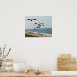 Pelican Bird Gang flying over OBX beach Poster | Zazzle