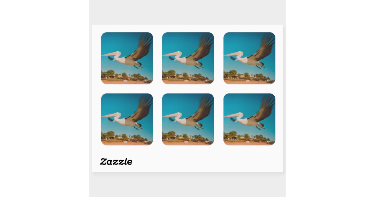 Pelican Square Sticker | Zazzle