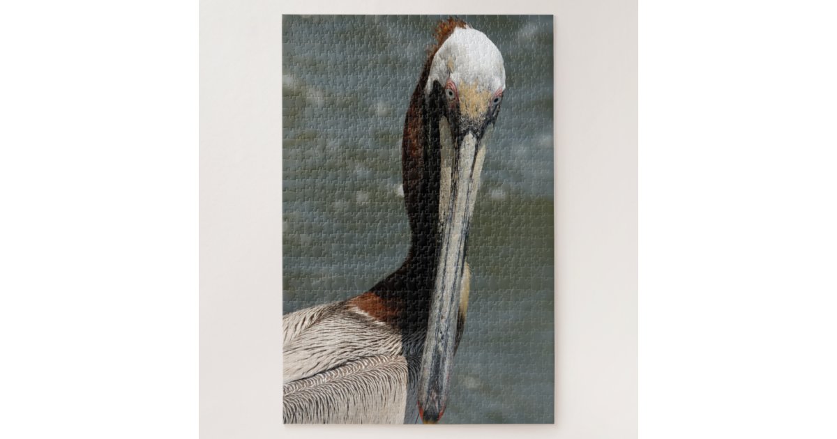 Pelican staring back at me card jigsaw puzzle | Zazzle