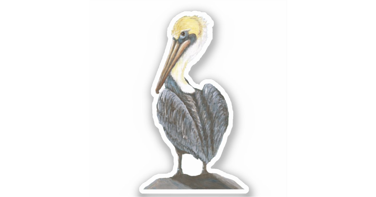 Pelican Vinyl Sticker | Zazzle