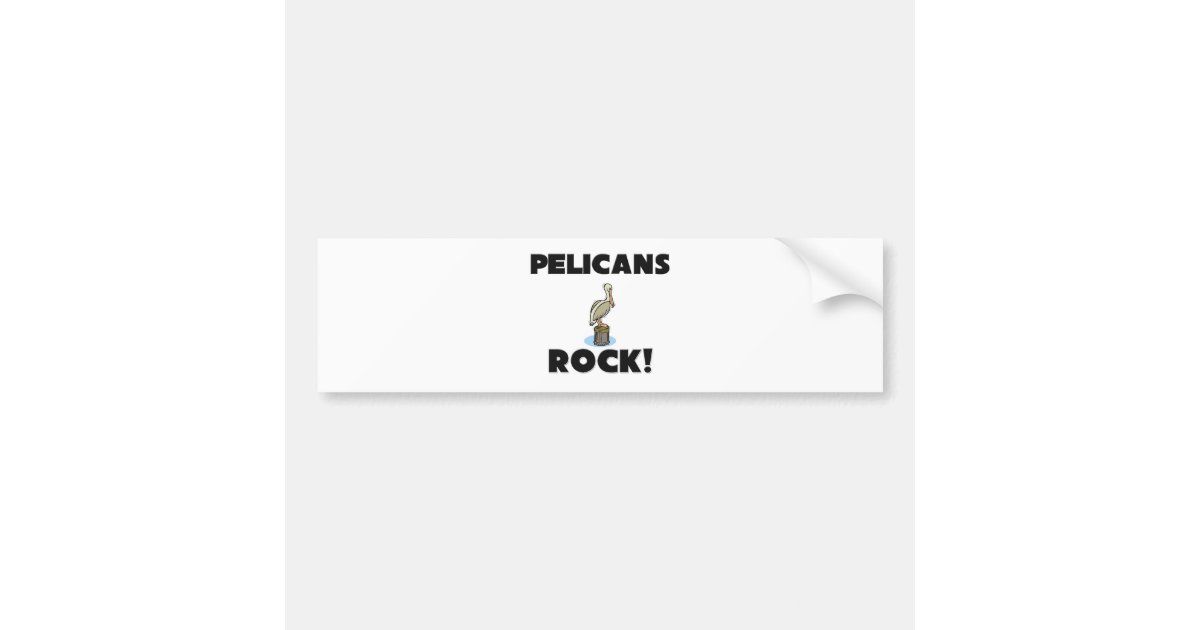 Pelicans Rock Bumper Sticker | Zazzle