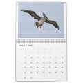 "Pelly - One Summer on Lake Erie" Wall Calendar | Zazzle