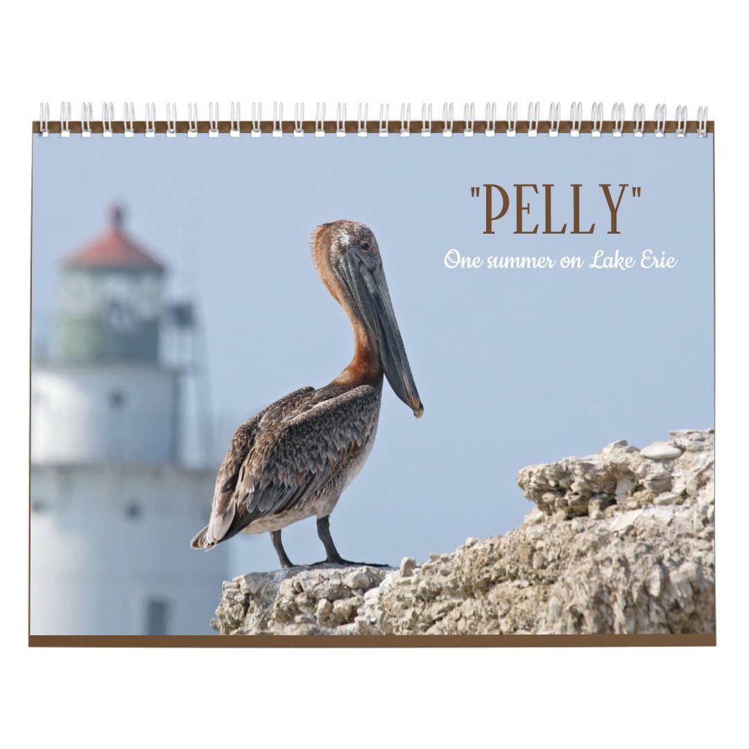 "Pelly - One Summer on Lake Erie" Wall Calendar | Zazzle