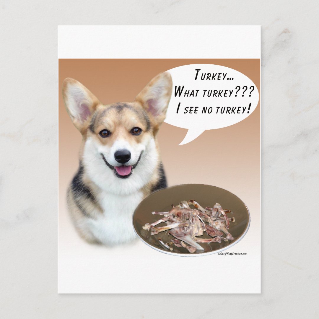 Pembroke Welsh Corgi Turkey Postcard | Zazzle
