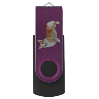Pembroke Welsh Corgi USB Stick. USB Flash Drive | Zazzle
