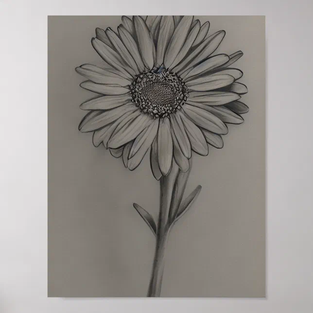 Pencil Drawn Daisy Poster | Zazzle