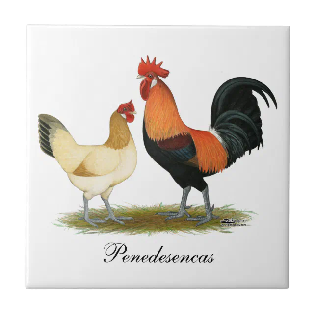 Penedesenca Chickens Tile | Zazzle