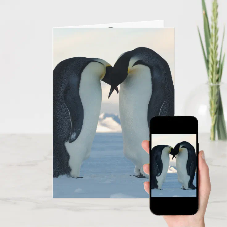 Penguin Card | Zazzle