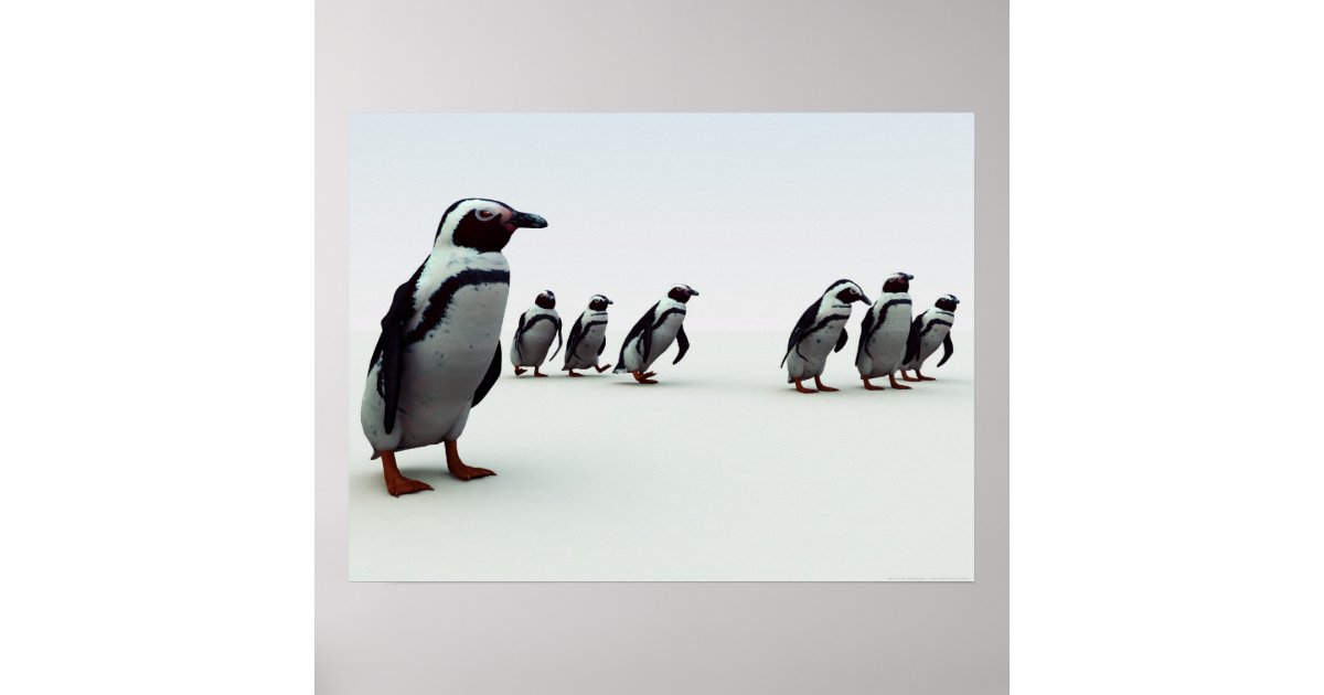 Penguin Line-Up Poster | Zazzle