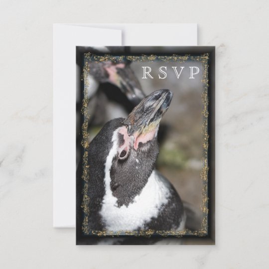 Penguin Photo Zoo Wedding RSVP Cards | Zazzle.com