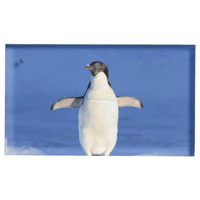 Penguin Table Number Holder | Zazzle