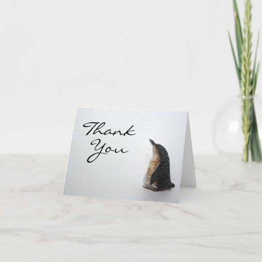 Penguin Thank You Card | Zazzle.com