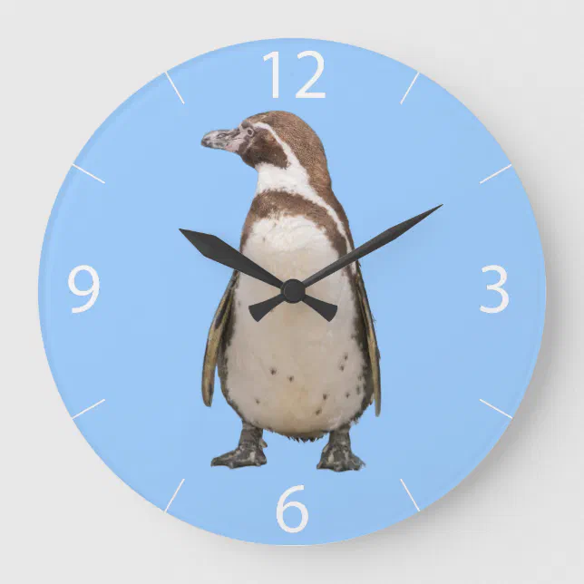 Penguin Wall Clock | Zazzle